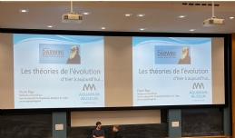 Athenee Royal Charles Rogier - Liege 1